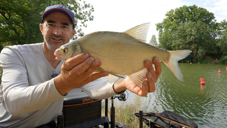 5 Montages Feeder simples pour Réussir Vos Sessions de Pêche